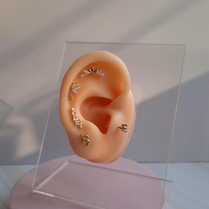 Piercings Oreja – Lazzo Perú